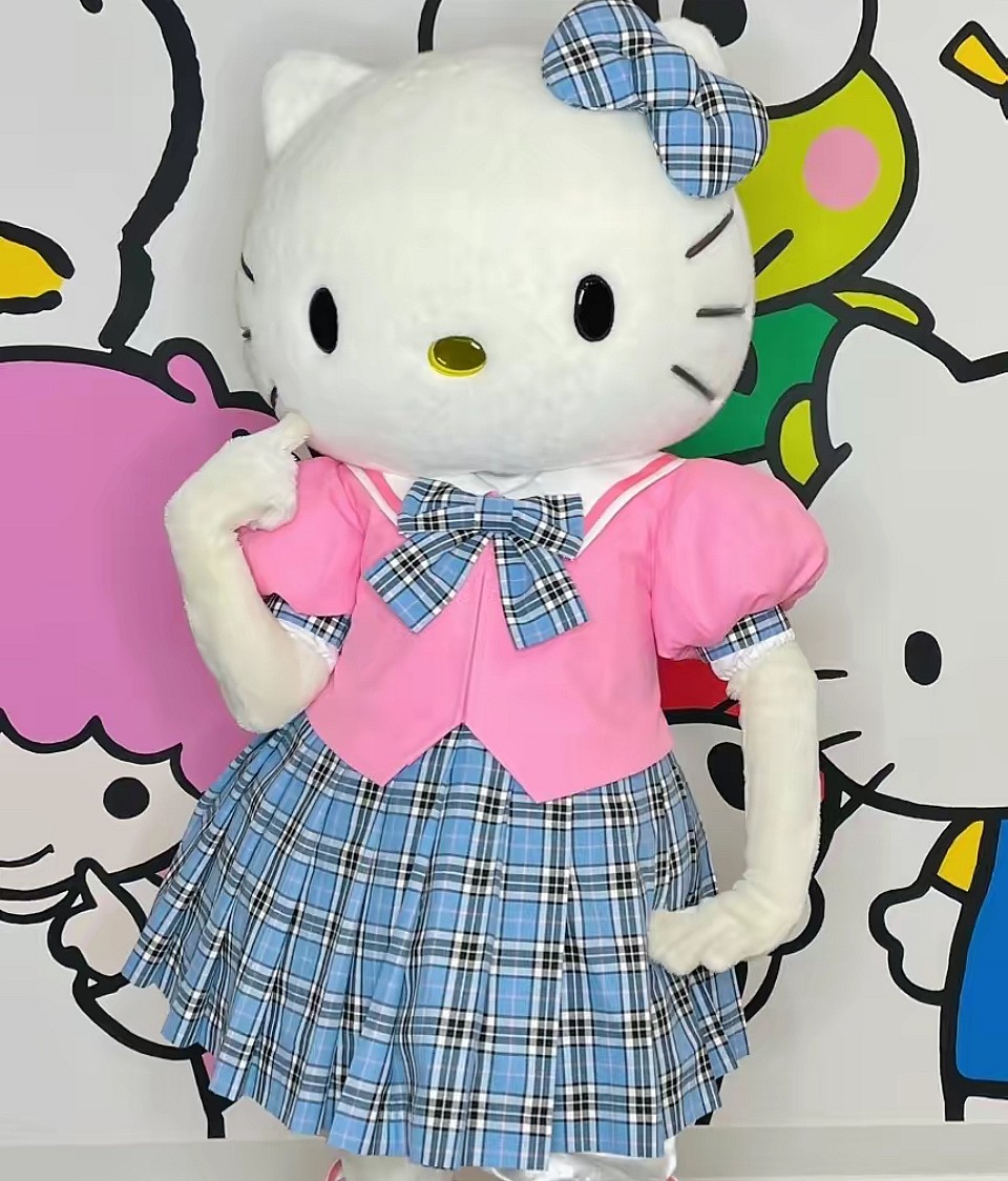 The Surprising Truth About Hello Kitty Has TikTokers Shocked!