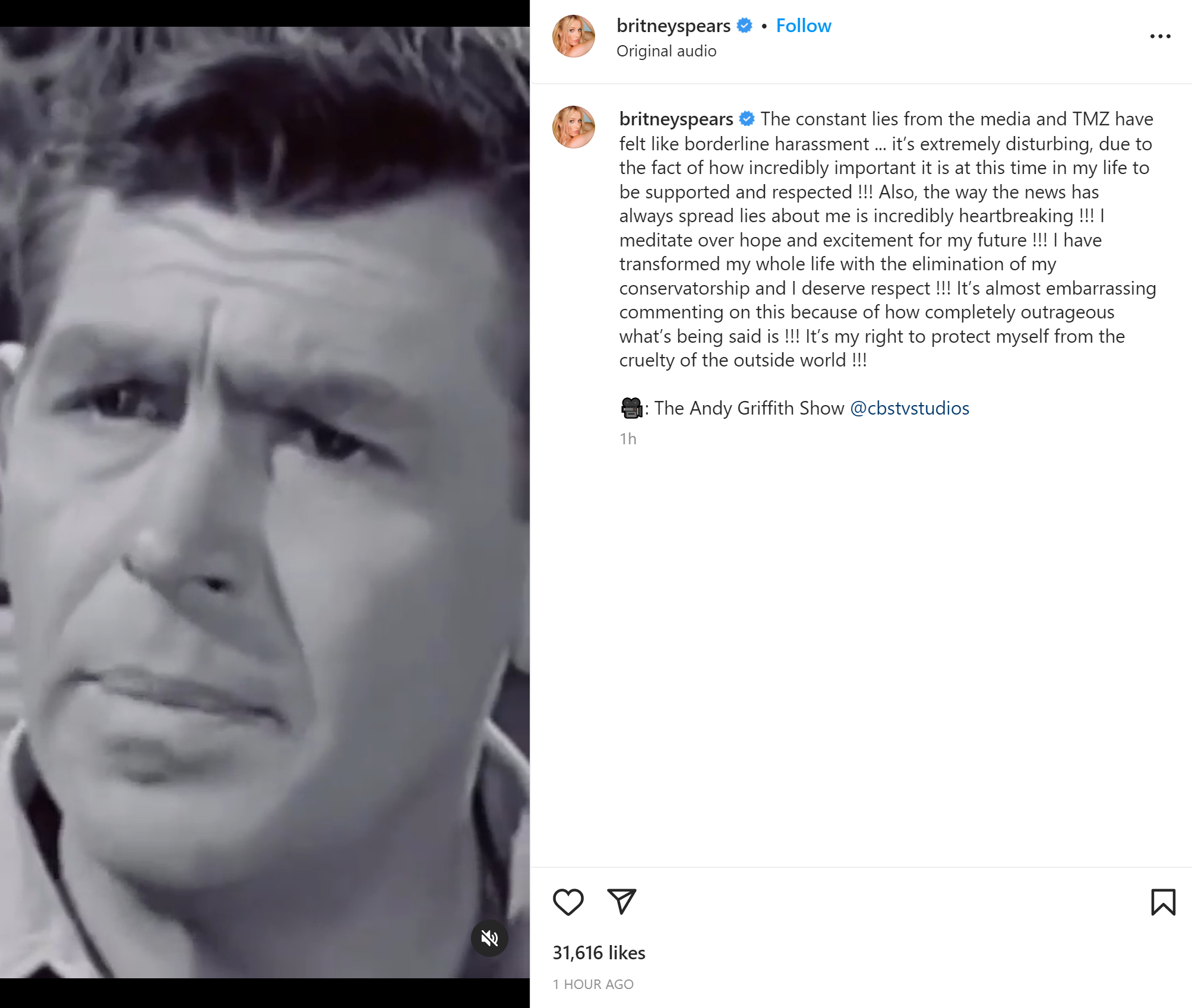 Britney Spears & Sam Asghari's Dog Reportedly Escapes, Bites Elderly Man