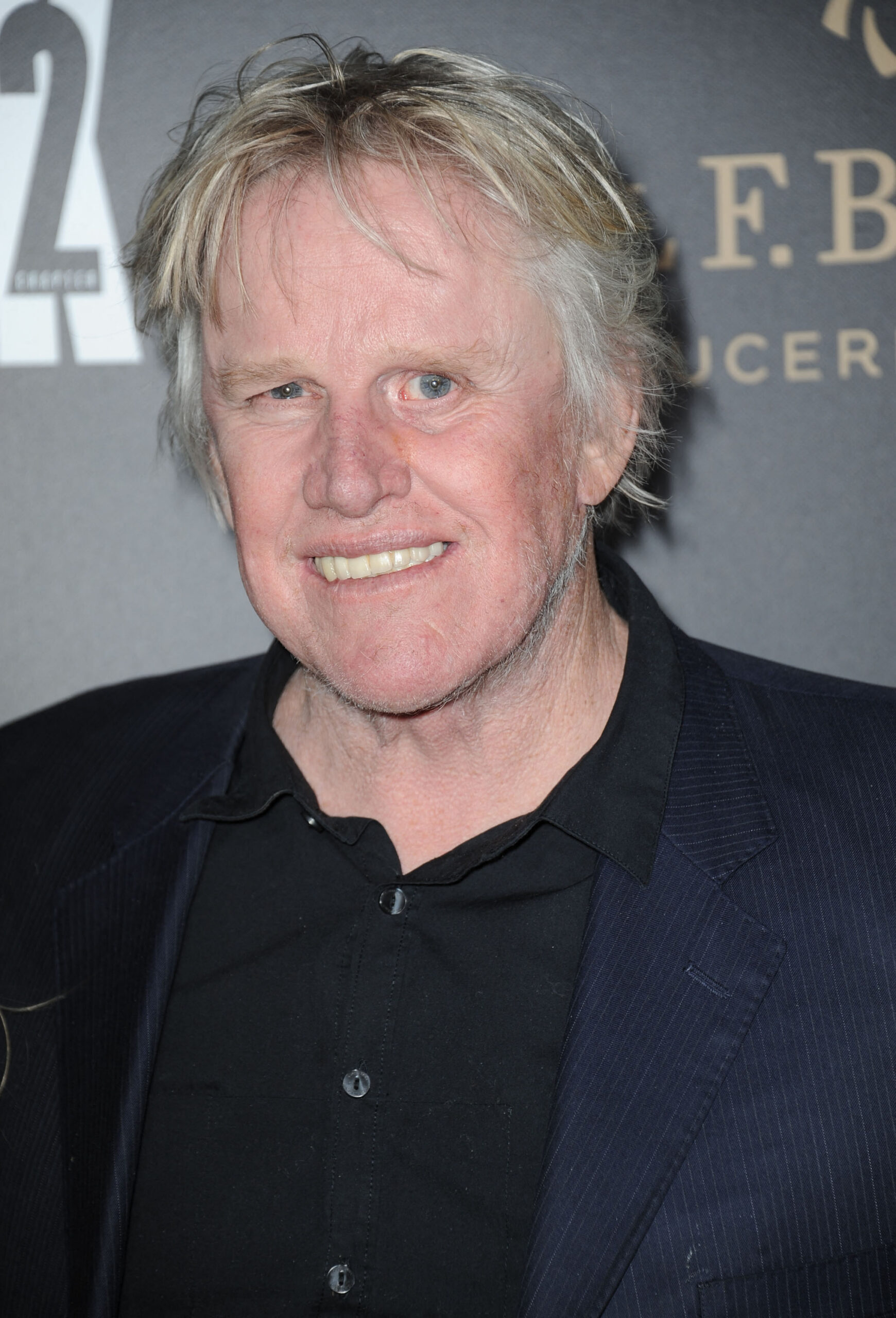 Gary Busey's Shocking Admission As He Pleads Guilty To Sex Crimes Charge