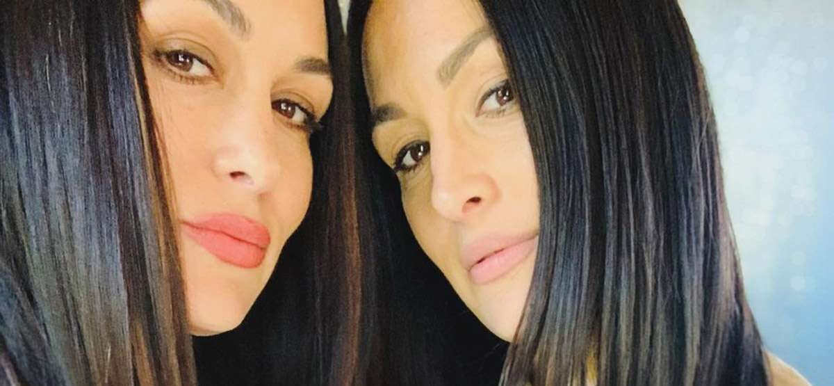 Bella Twins Prove They’re 'The Hottest Pair Of Twins' In Bikini Snap