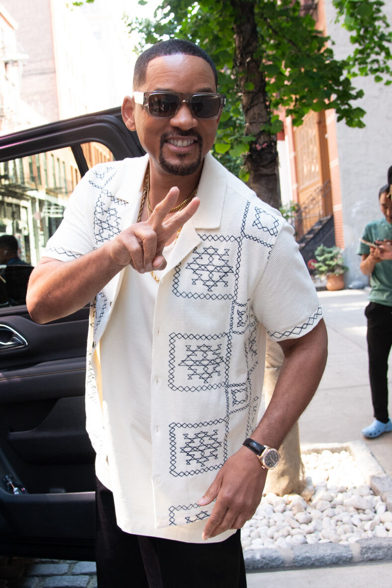 Will Smith's Ex-Violinist's Case Crumbles